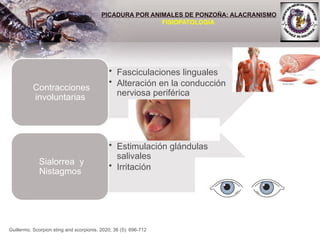 ALACRANISMOtratamiento, fisiopatologia, epidemiologia e incidencia | PPTX