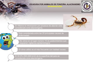 ALACRANISMOtratamiento, fisiopatologia, epidemiologia e incidencia | PPTX