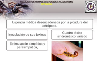 ALACRANISMOtratamiento, fisiopatologia, epidemiologia e incidencia | PPTX