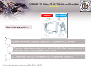 ALACRANISMOtratamiento, fisiopatologia, epidemiologia e incidencia | PPTX