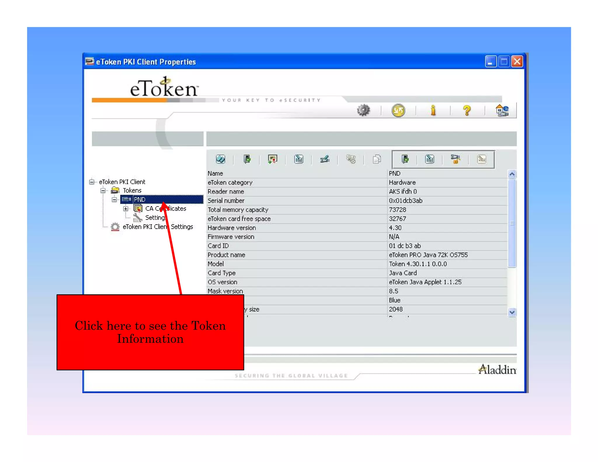 Aladdin token installation guide | PDF