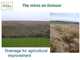 Peatland Rewetting in the South West | PPT