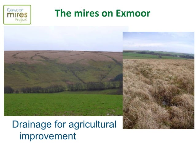 Peatland Rewetting in the South West | PPT