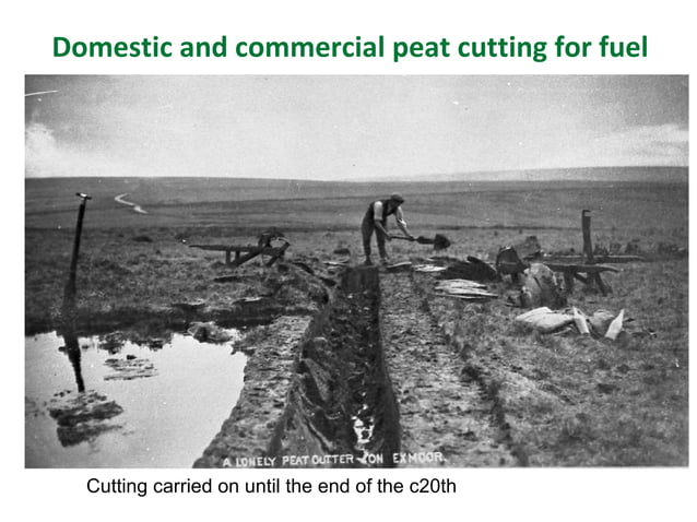 Peatland Rewetting in the South West | PPT