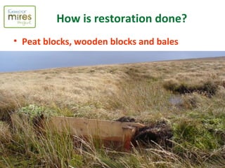 Peatland Rewetting in the South West | PPT | Free Download