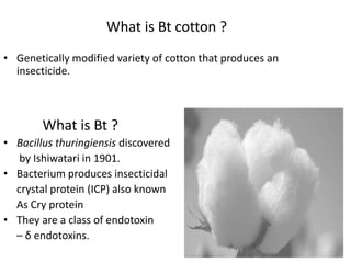 GM CROPS (GENETICALLY MODIFIED CROPS) | PPTX
