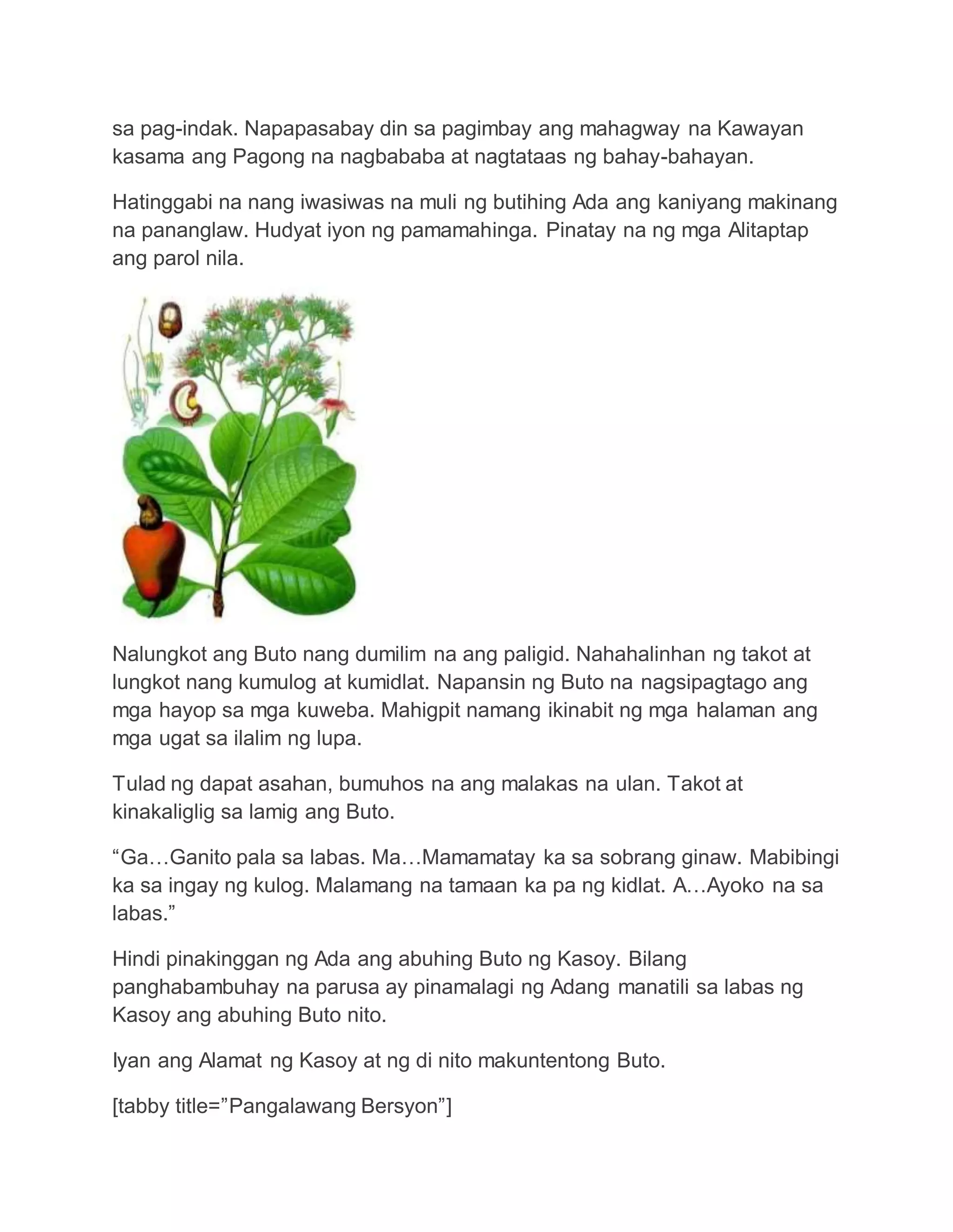 Alamat ng kasoy | DOCX