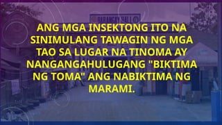 ALAMAT NG PINOMA powerpoint presentation | PPTX