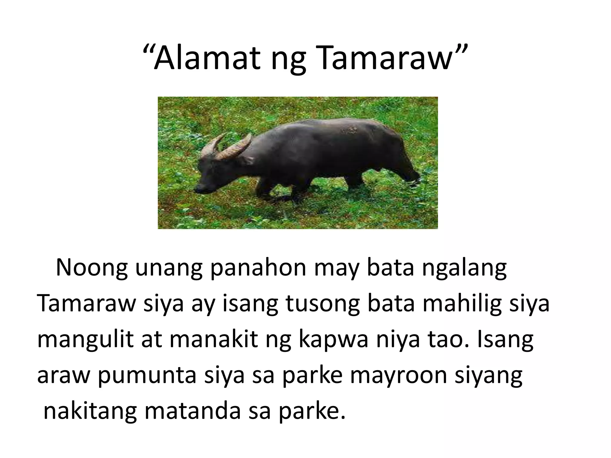 Alamat ng tamaraw | PPTX