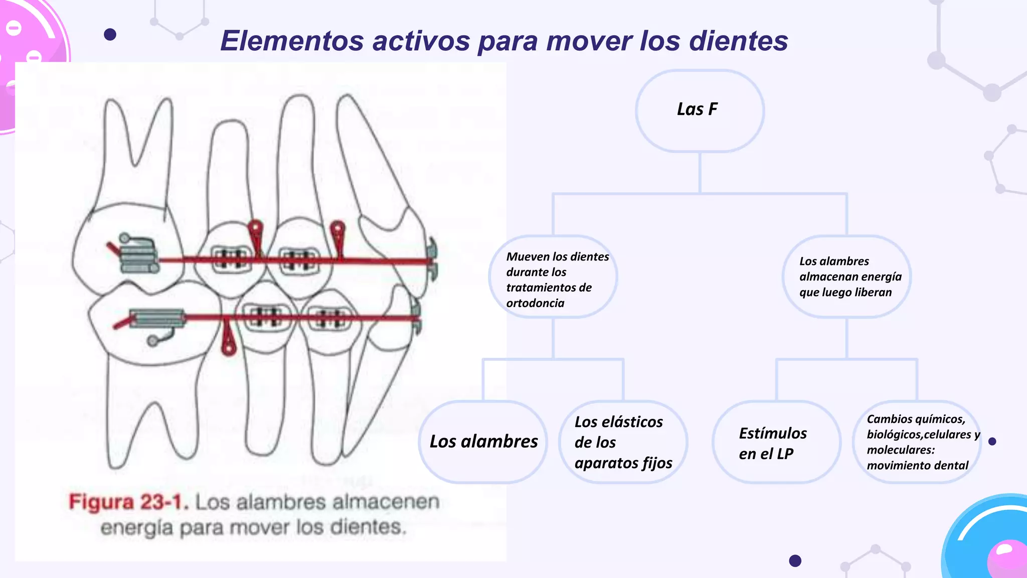 ALAMBRES Y METALES EN ORTODONCIA.pptx