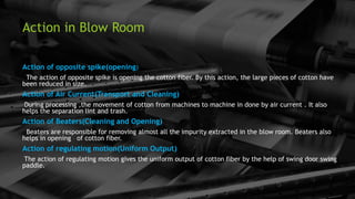 Blowroom | PPTX