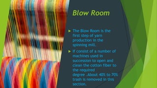 Blowroom | PPTX