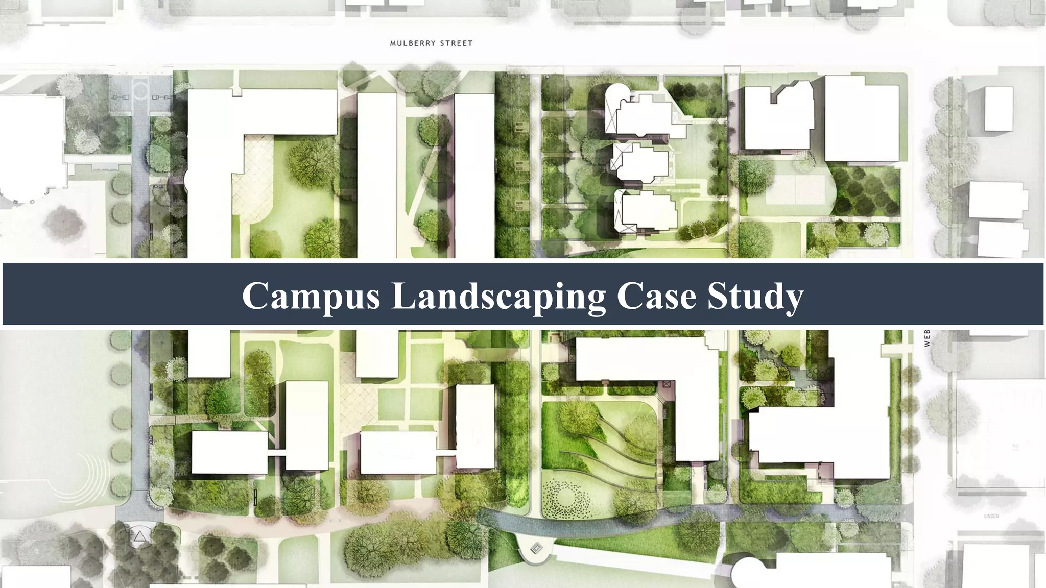 A Landscape Case Study on Panjab University, Chandigarh, India | PDF