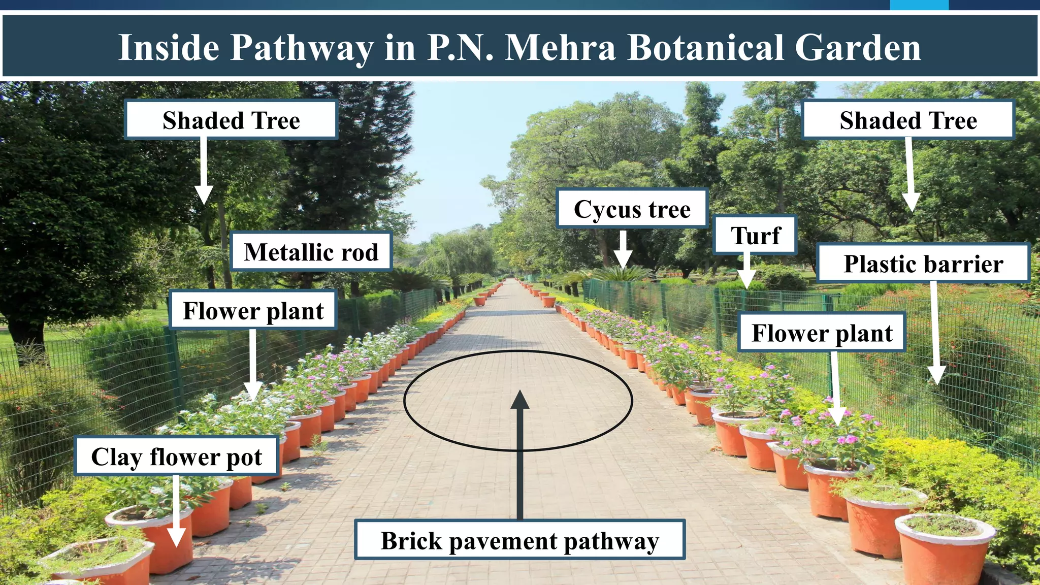 A Landscape Case Study on Panjab University, Chandigarh, India | PDF