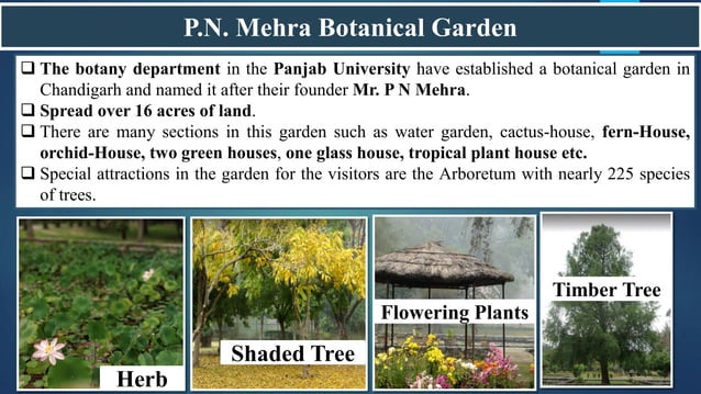A Landscape Case Study on Panjab University, Chandigarh, India | PDF
