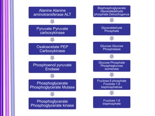 Alanise Glycerol.pptx