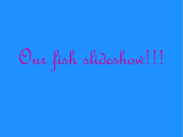 Something Fishy- Alannah and megan | PPTX