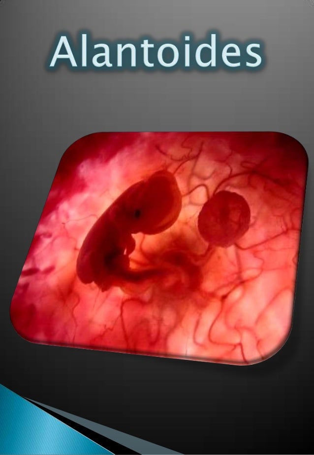 Alantoides