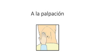 signos para la identificacion del dolor abdominal en la palpación | PPTX