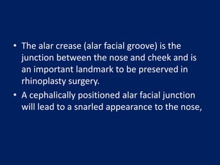 Alar base surgery | PPT