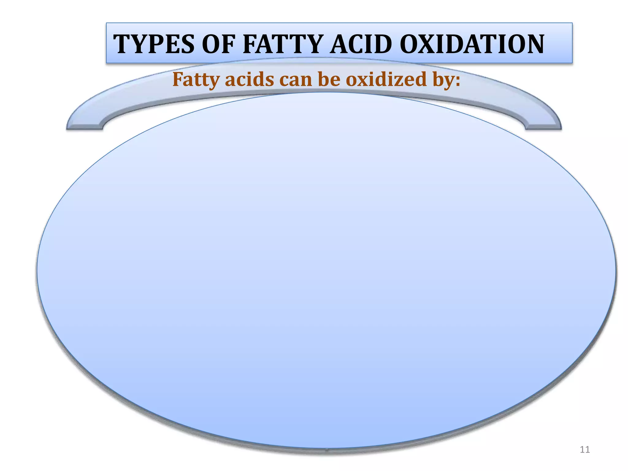 Lipid Metabolism_In_Biochemistry | PPTX
