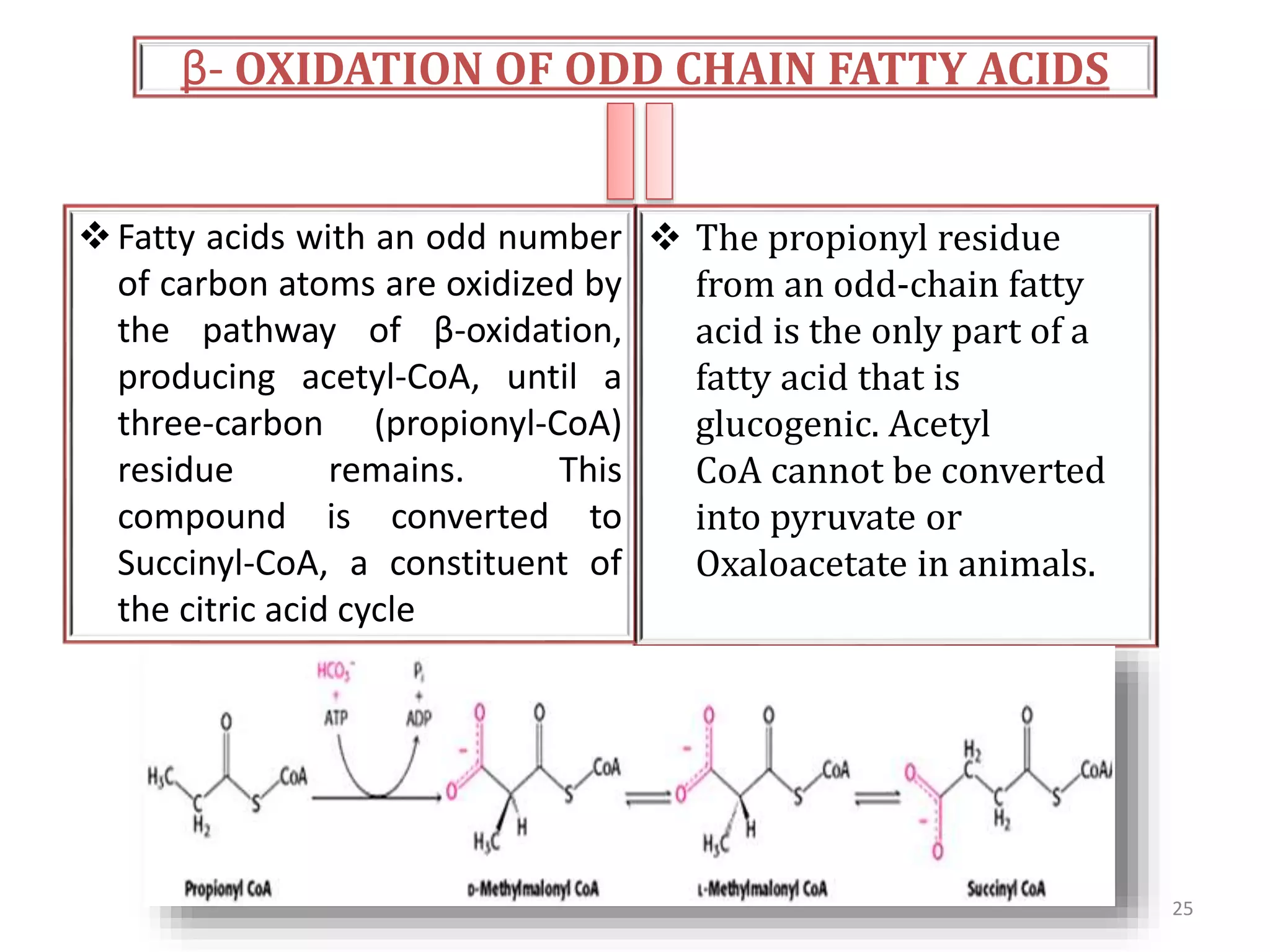 Lipid Metabolism_In_Biochemistry | PPTX