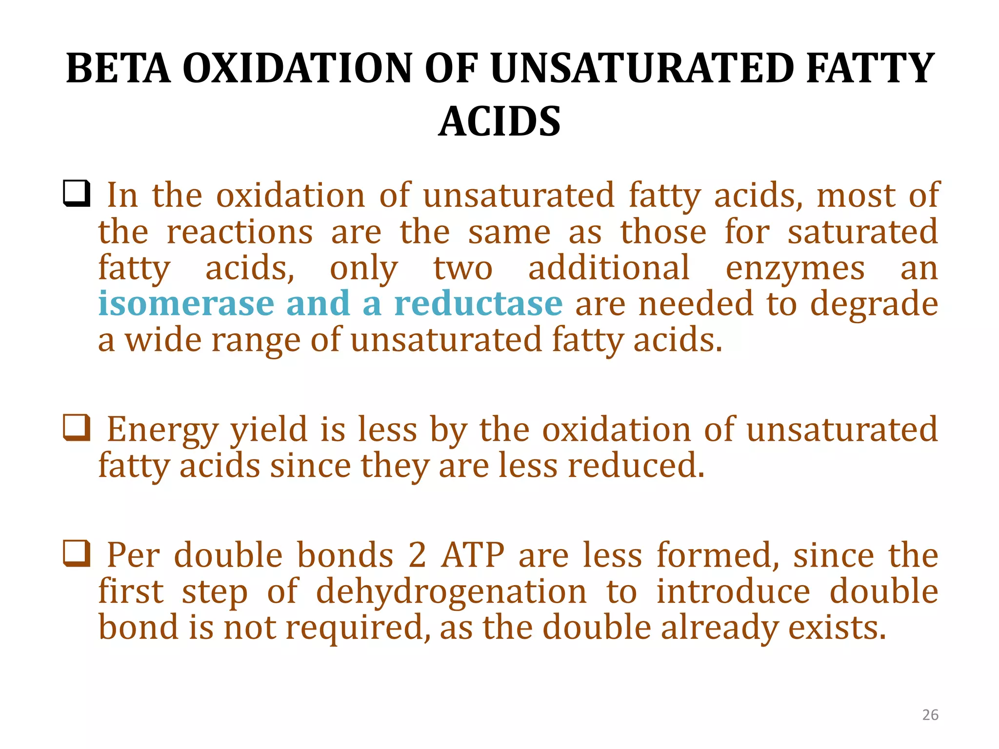 Lipid Metabolism_In_Biochemistry | PPTX