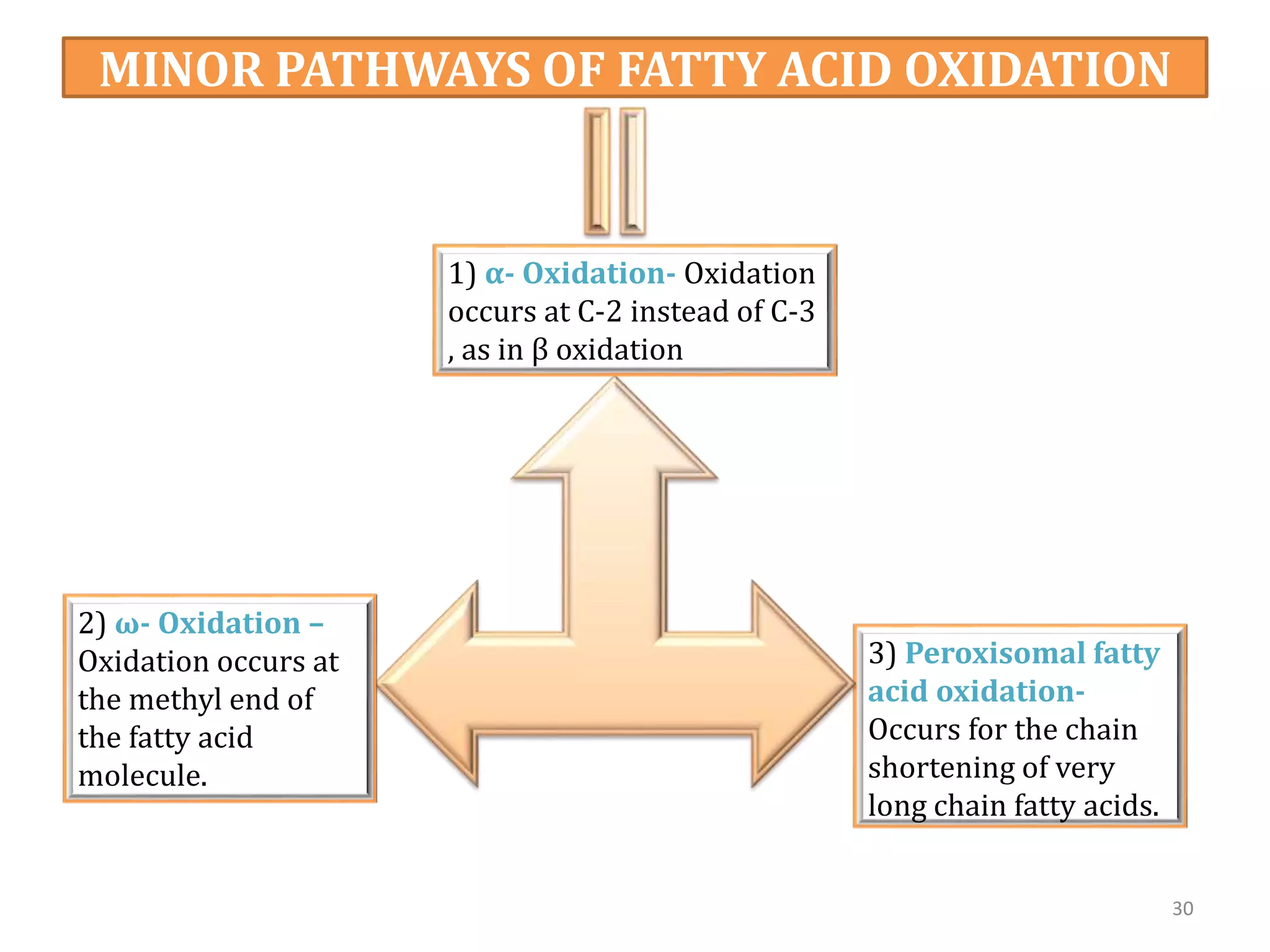 Lipid Metabolism_In_Biochemistry | PPTX