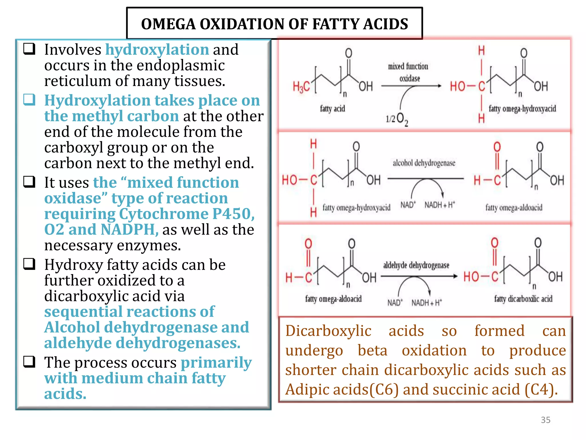 Lipid Metabolism_In_Biochemistry | PPTX