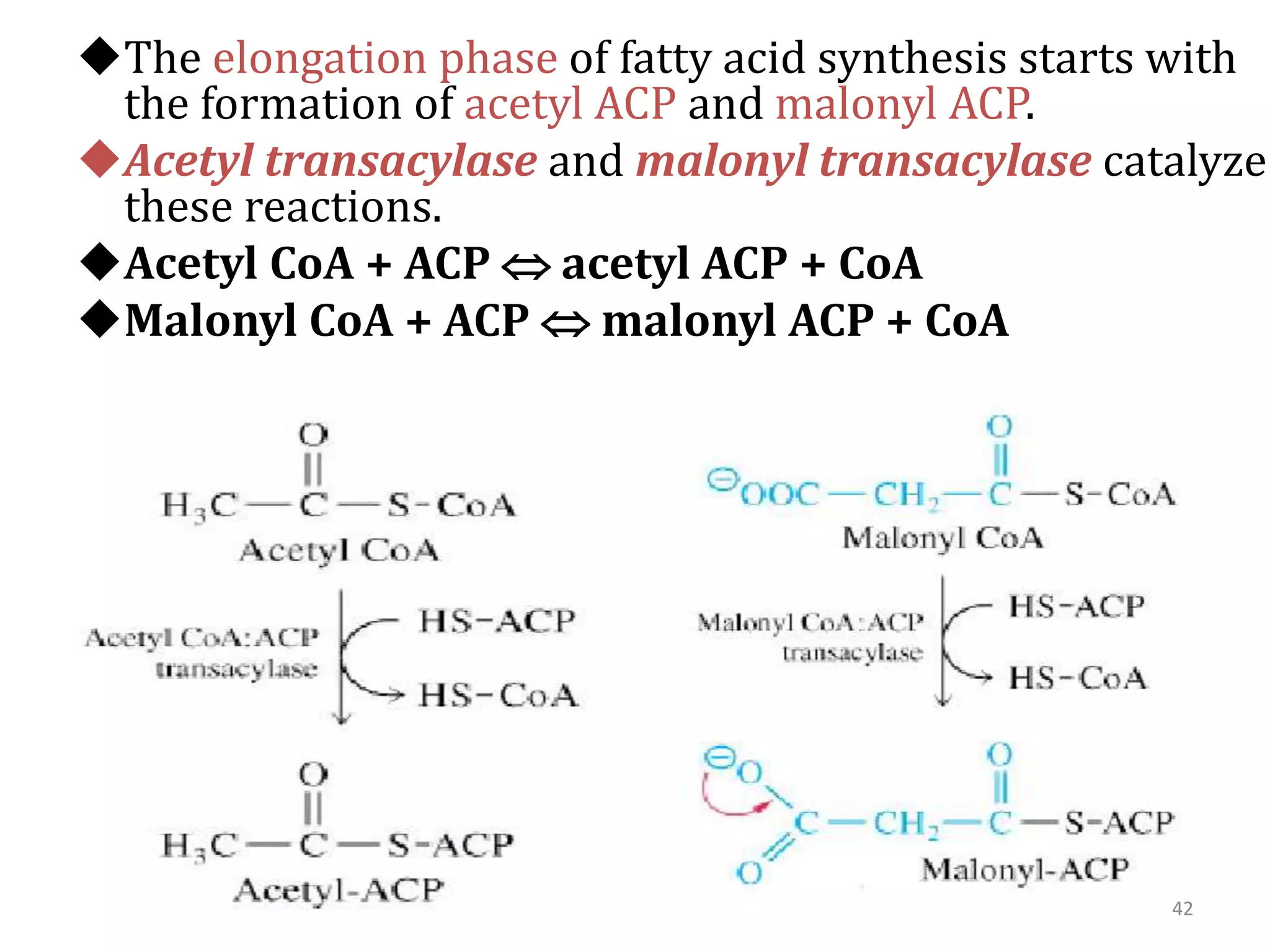Lipid Metabolism_In_Biochemistry | PPTX