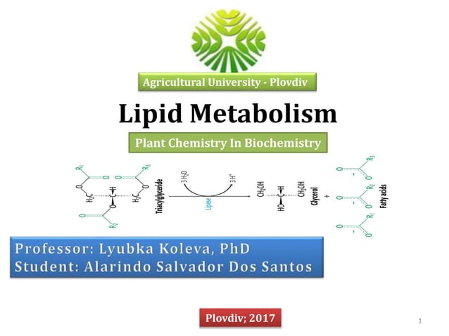 Lipid Metabolism_In_Biochemistry | PPTX