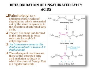 Lipid Metabolism_In_Biochemistry | PPTX