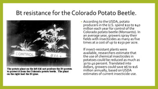 ALARMING SCENARIOS Report.pptx