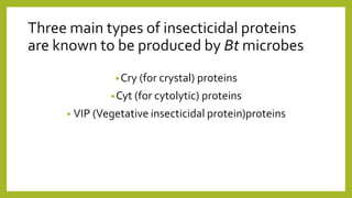 ALARMING SCENARIOS Report.pptx