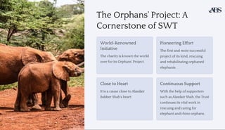 Alasdair Babber Shah - The Sheldrick Wildlife Trust | PPT