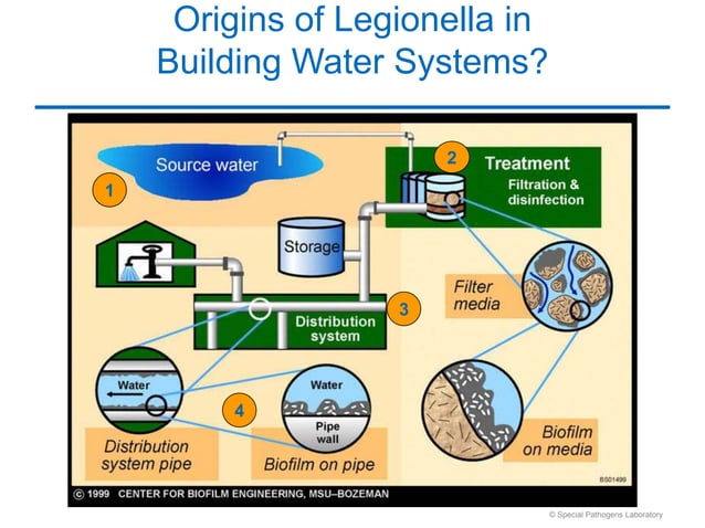 Planning for New Water Management Standards | PPT