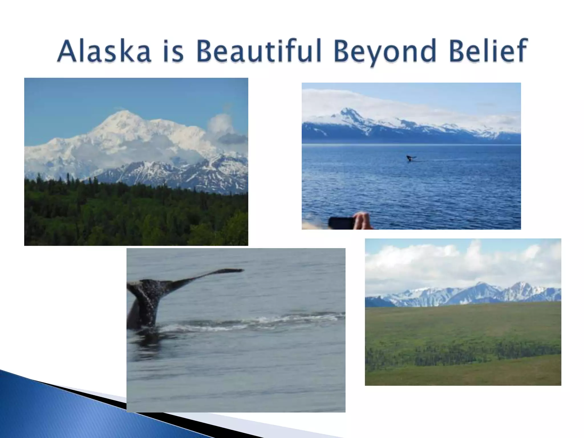 Alaska Presentation | PPTX