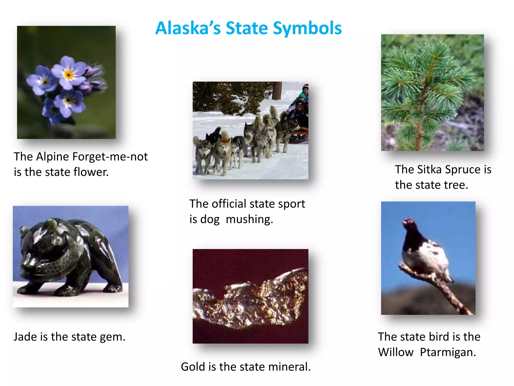 Alaska power point | PPTX
