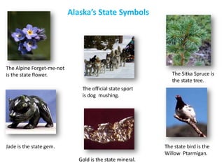 Alaska State Sport