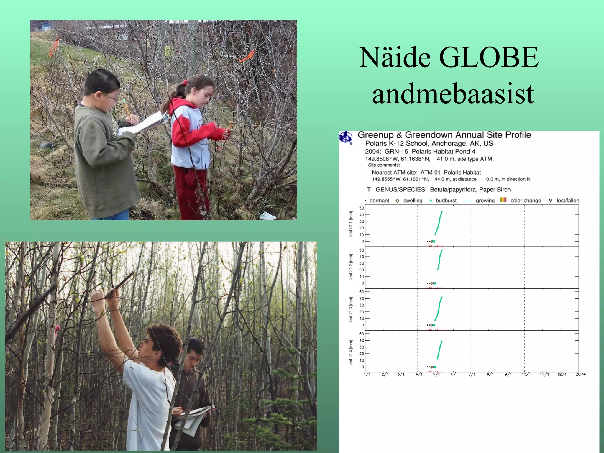 Alaska Seasons Biomes | PPT