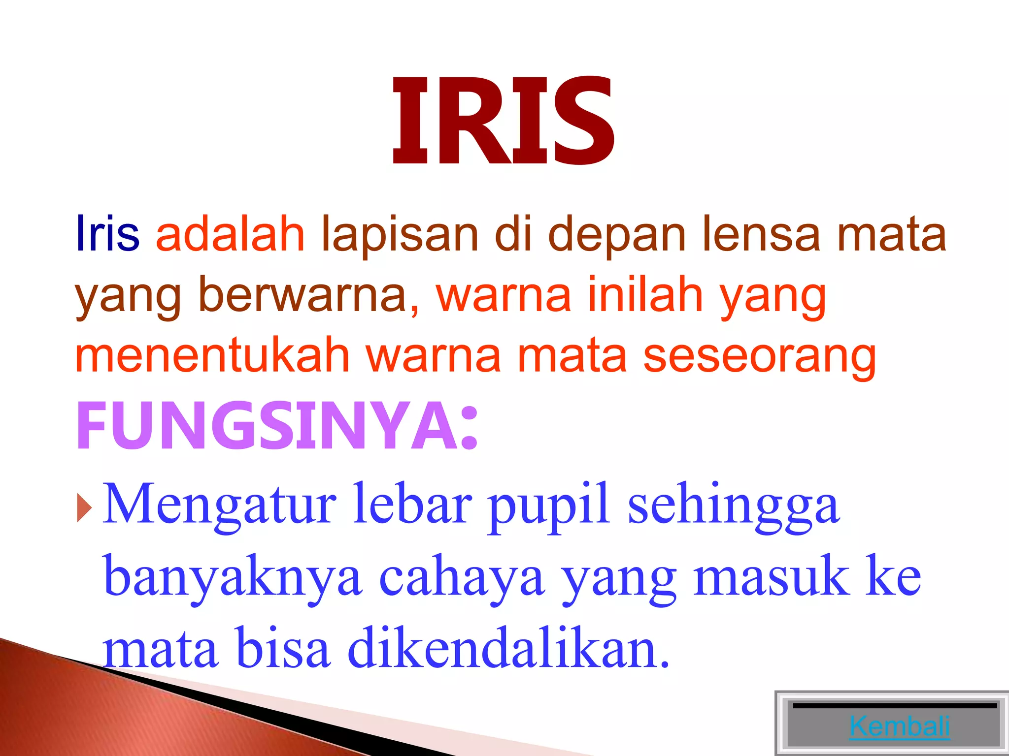 alat-alat-optik-revisi.ppt