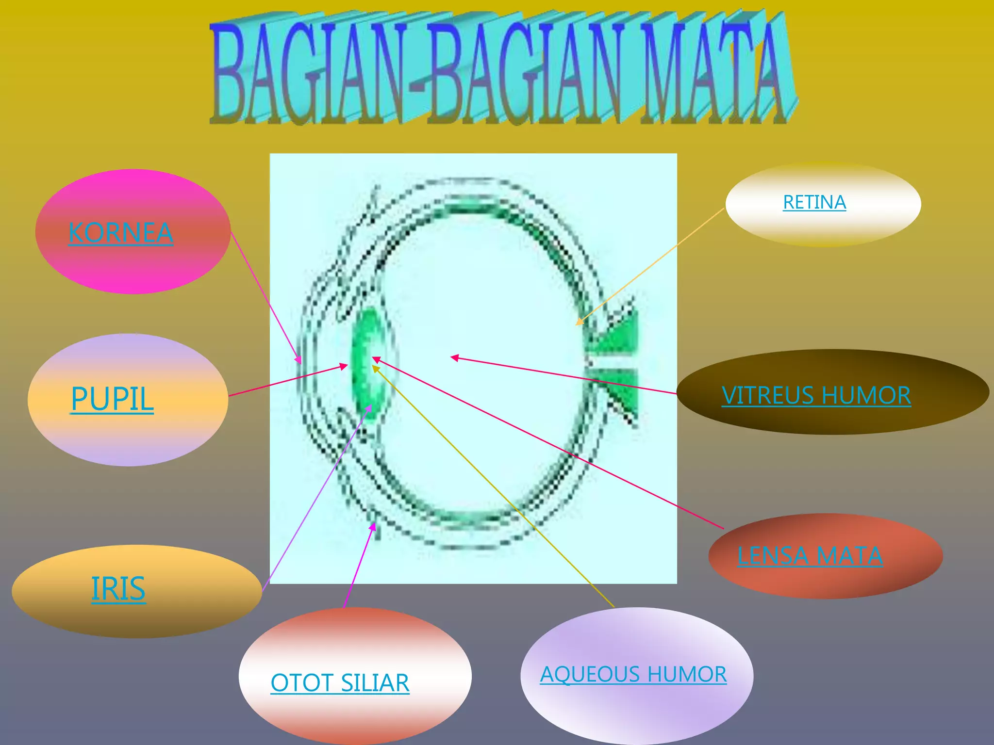 alat-alat-optik-revisi.ppt