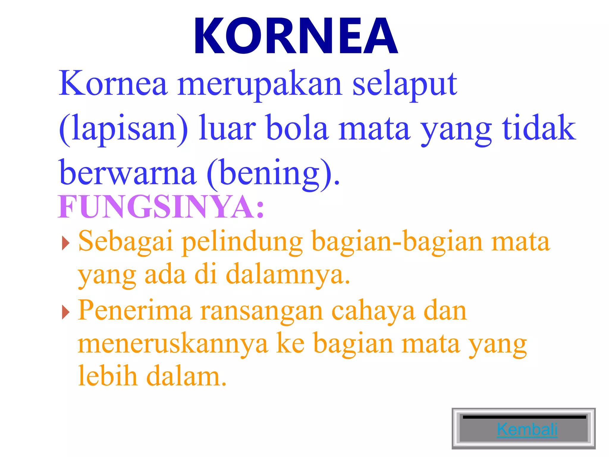 alat-alat-optik-revisi.ppt