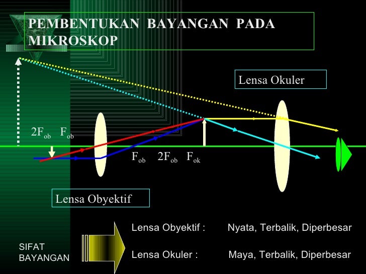 Sifat Bayangan Yang Dibentuk Oleh Mikroskop Adalah Sifat Bayangan Yang Dibentuk Oleh Mikroskop Adalah