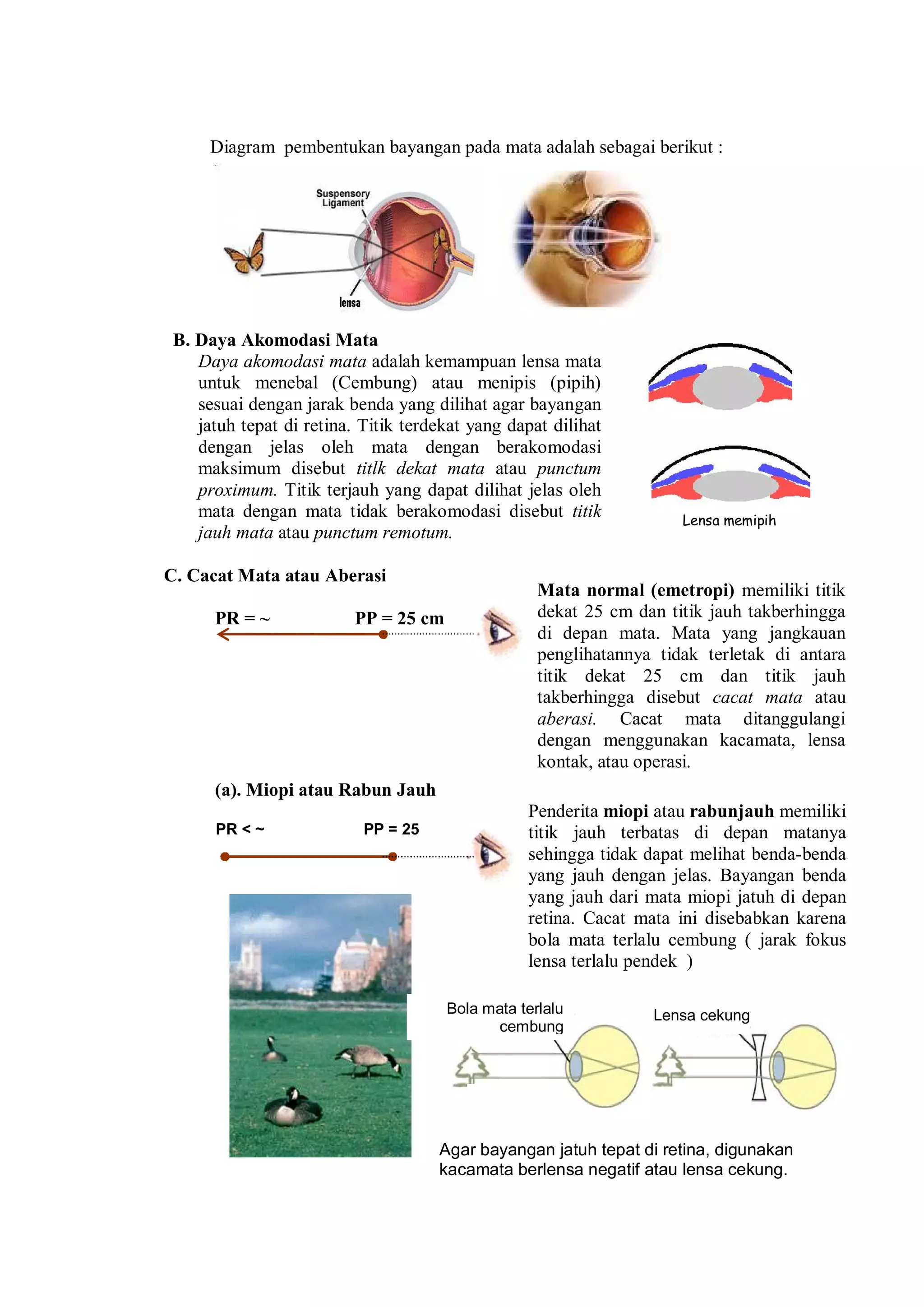 Alat optik | PDF