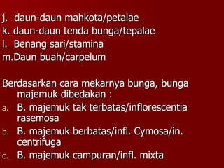 alat-perkembangbiakan-organum-reproductivum.ppt