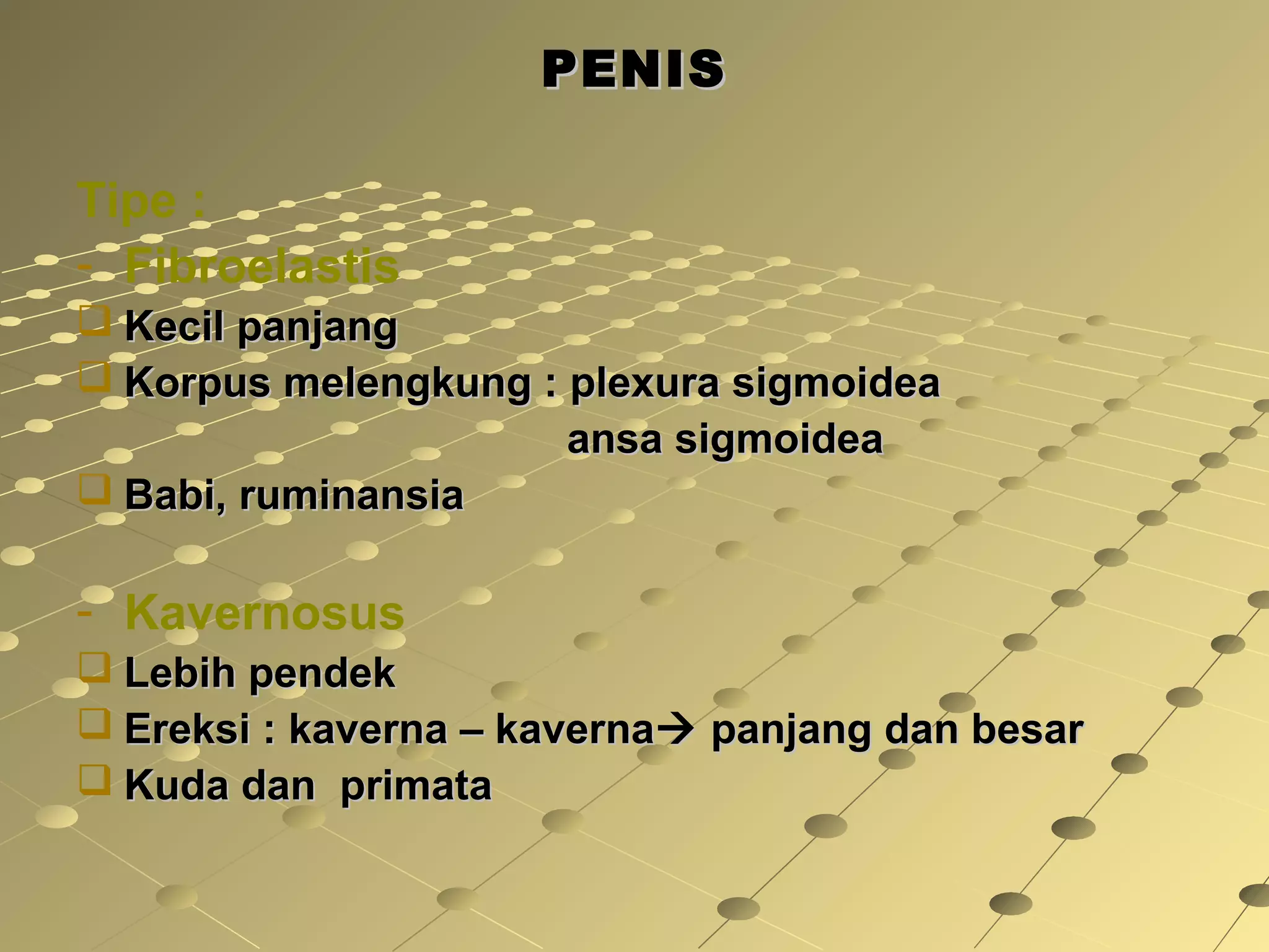 Alat reproduksi-ternak materi (peternakan) | PPT