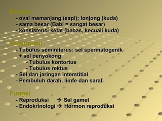Alat reproduksi-ternak materi (peternakan) | PPT