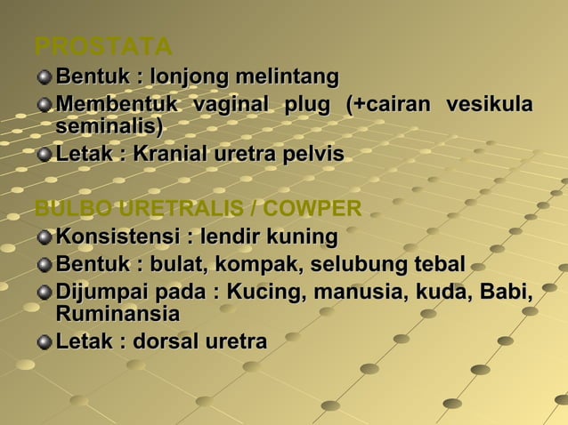 Alat reproduksi-ternak materi (peternakan) | PPT