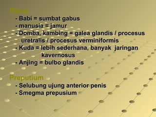 Alat reproduksi-ternak materi (peternakan) | PPT